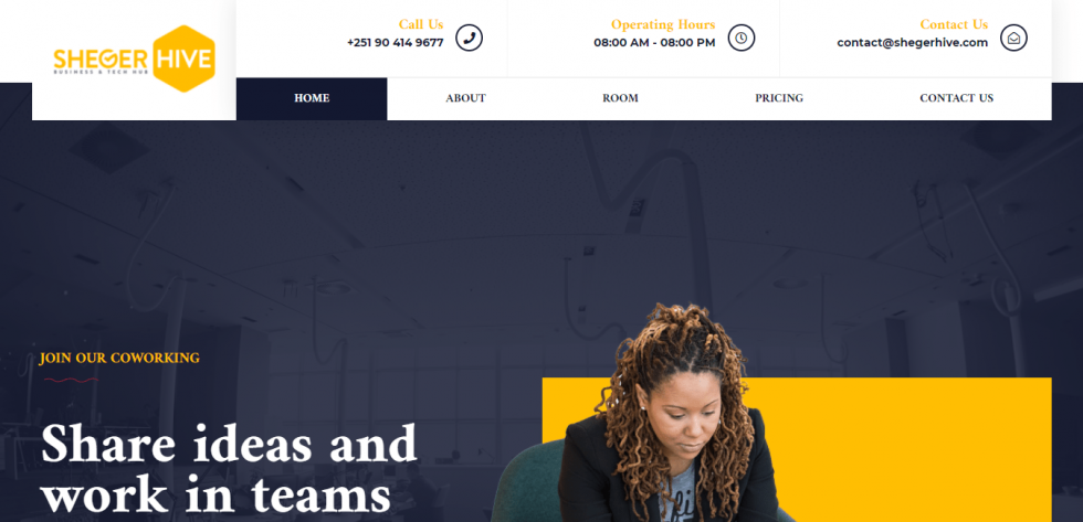 Our Works - Website Design Company in Ethiopia | Sheger Tech